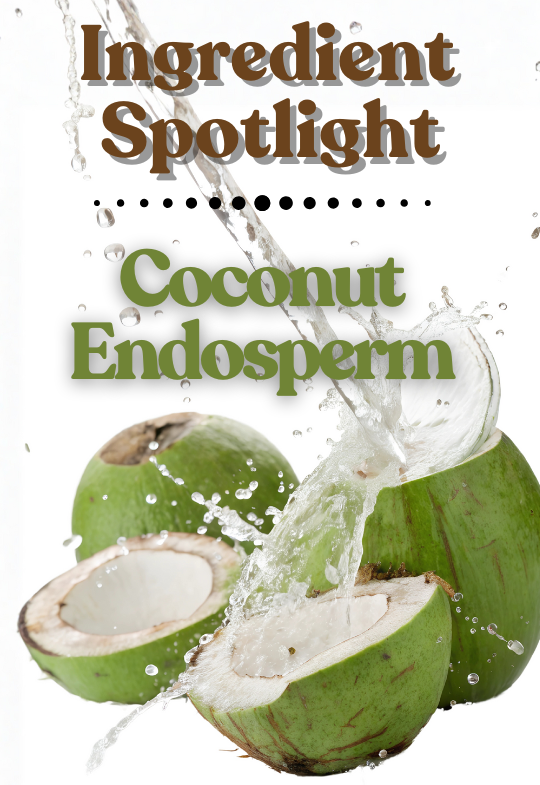 Coconut Endosperm ~ Nature’s Reservoir of Life | Garden Of Wisdom Skincare